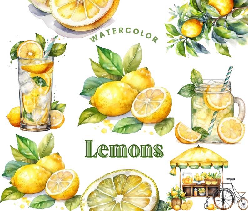 Watercolor Lemon Clipart | Digital PNG Lemonade & Citrus Fruit Graphics ...
