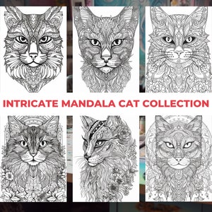 Stress, Anxiety Relief, Cat Coloring Pages, Intricate Mandala Designs ...