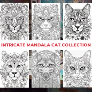 Stress, Anxiety Relief, Cat Coloring Pages With Intricate Mandala ...