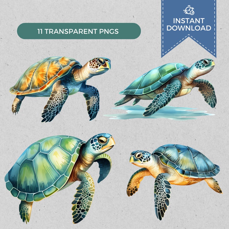 Sea Turtle PNG Clipart Green Sea Turtles Clipart Turtle PNG Watercolor ...