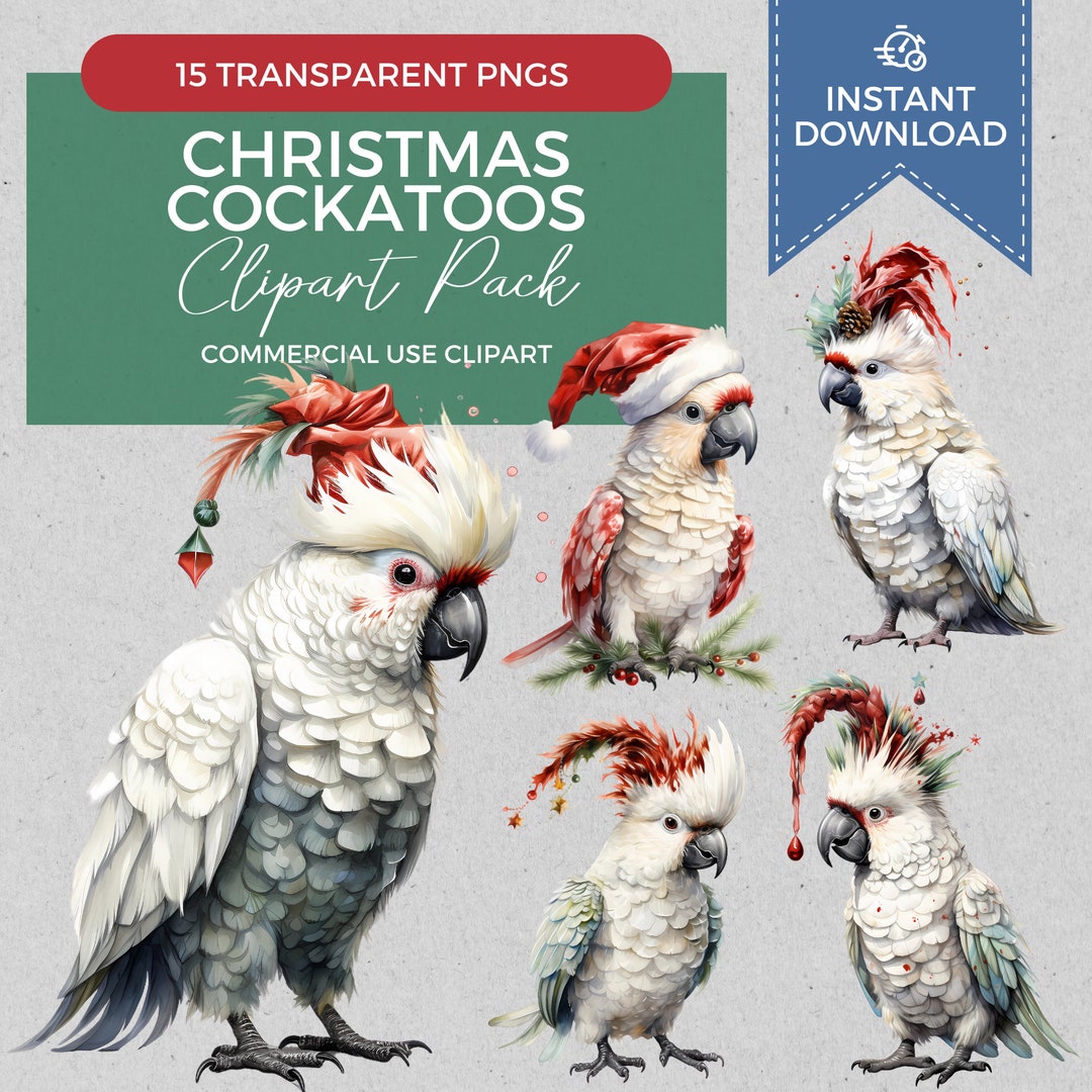 Australian Christmas Clipart Aussie Christmas Cockatoos Festive ...