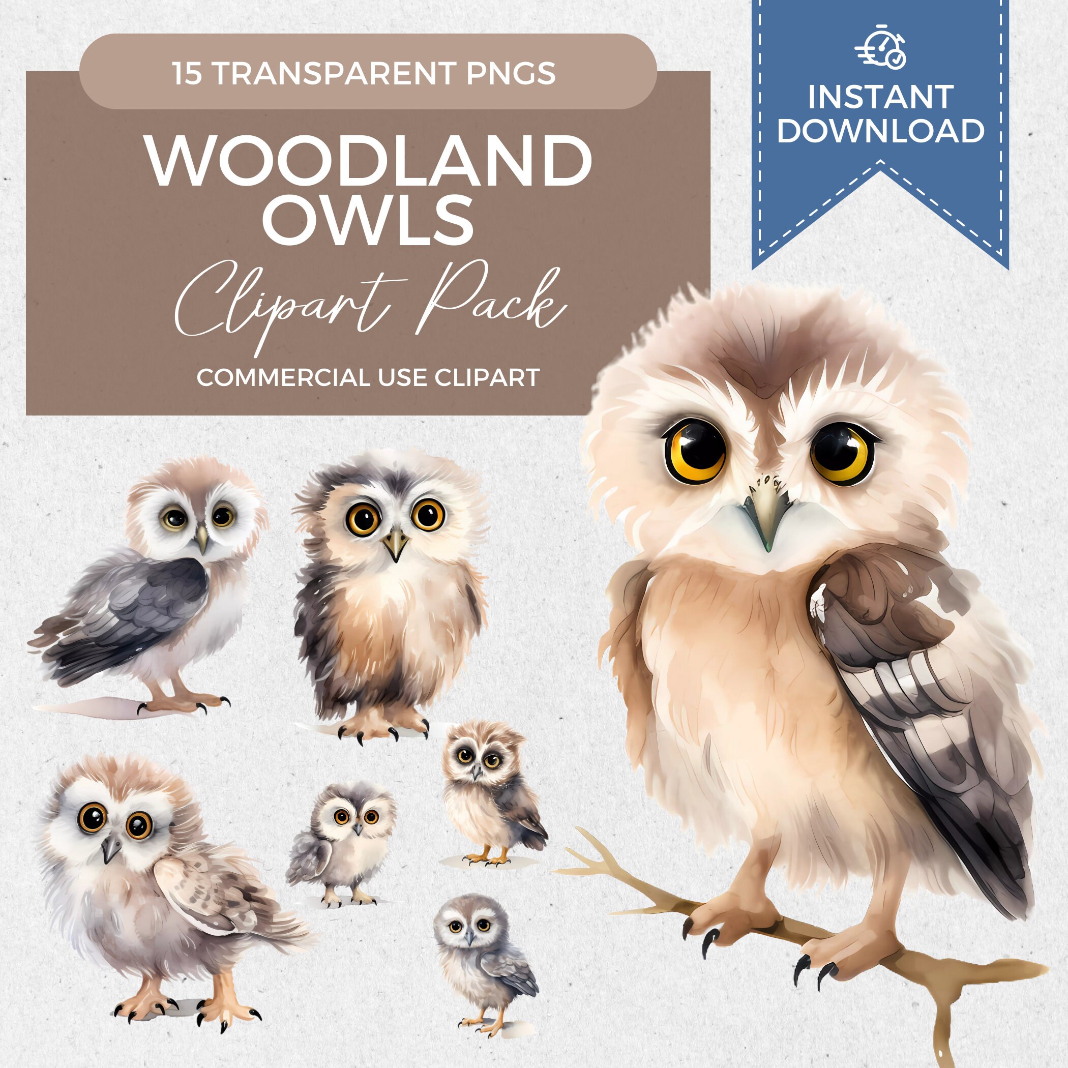 Owl Clipart Watercolor Owl Clipart for Card Making Clipart for ...