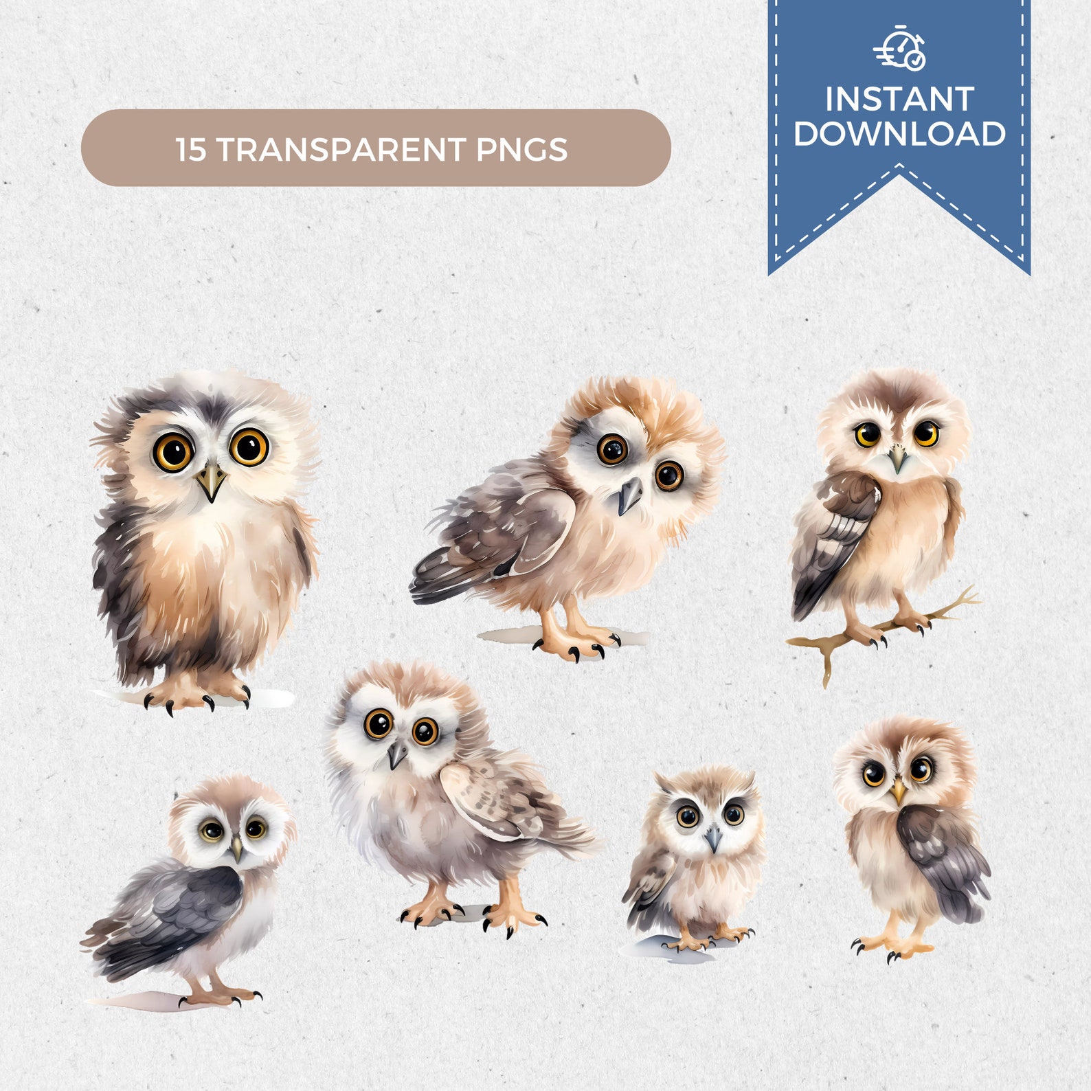 Owl Clipart Watercolor Owl Clipart for Card Making Clipart for ...