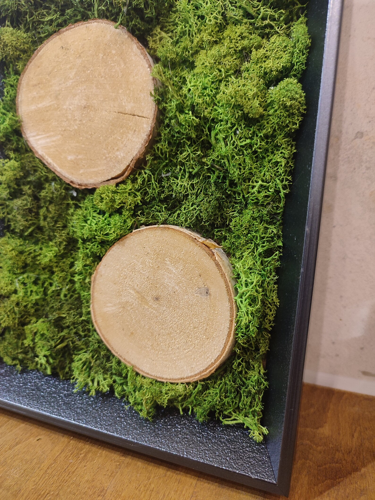 Unique Moss Wall Art, Living Moss Artwork, Botanical Wall Decor, Moss ...