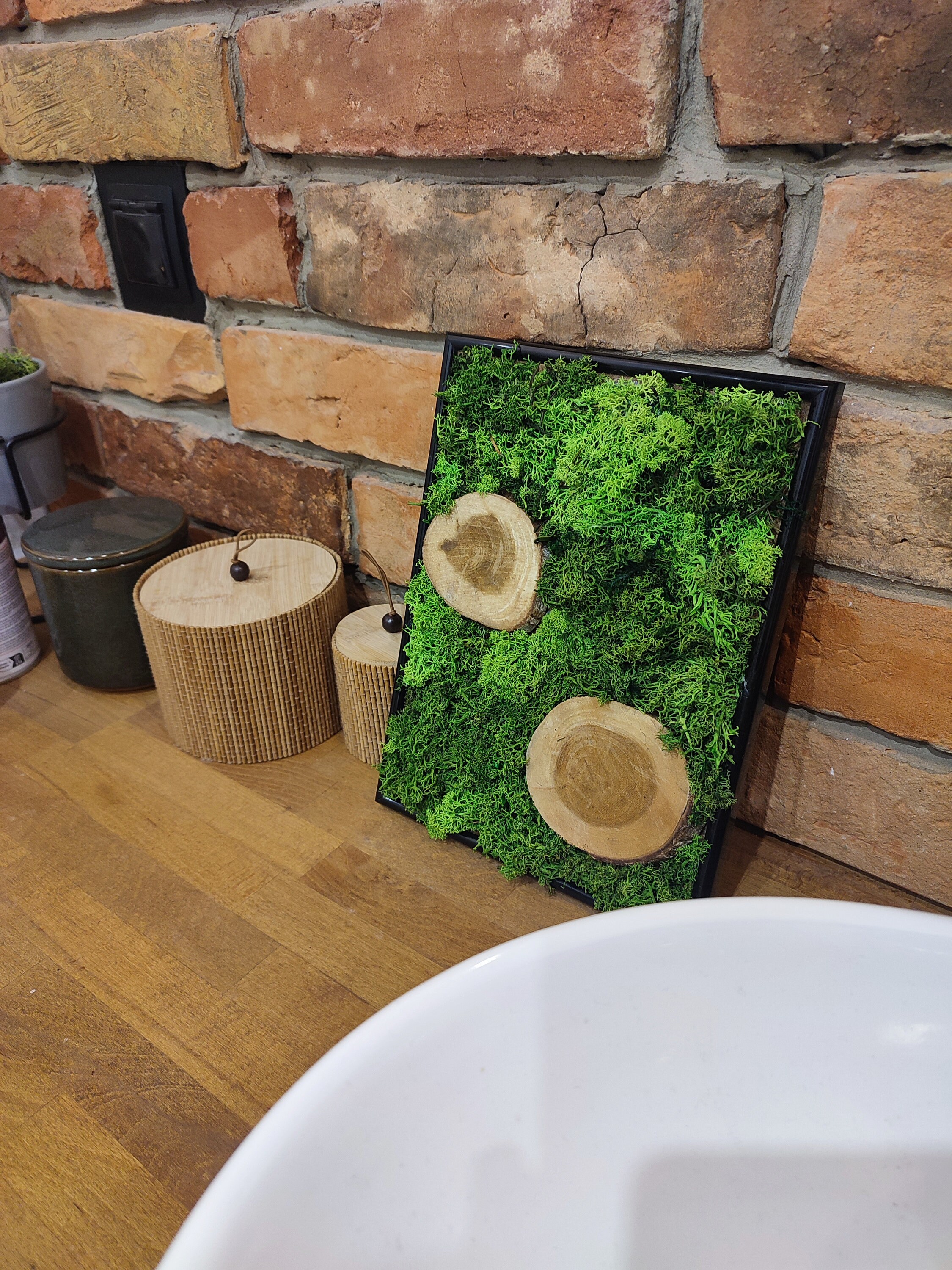 Unique Moss Wall Art Living Moss Artwork Botanical Wall - Etsy