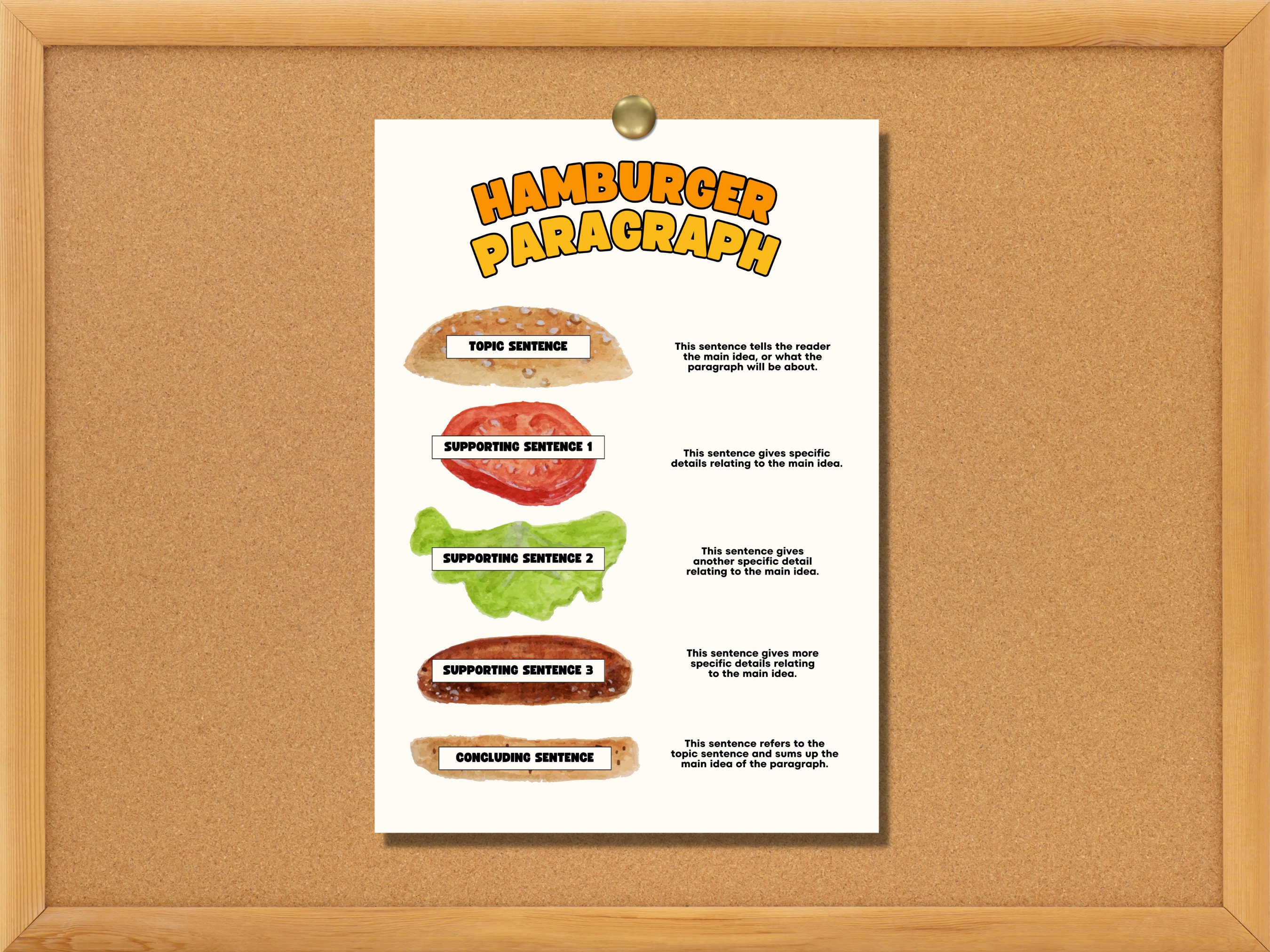 Paragraph Writing Hamburger Model Printable Poster, English Classroom ...