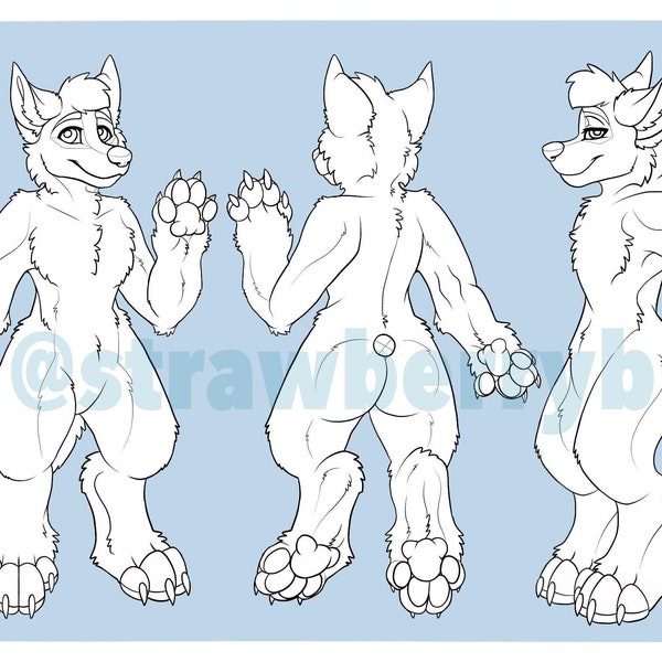 Wolf Ref Sheet Base - Etsy