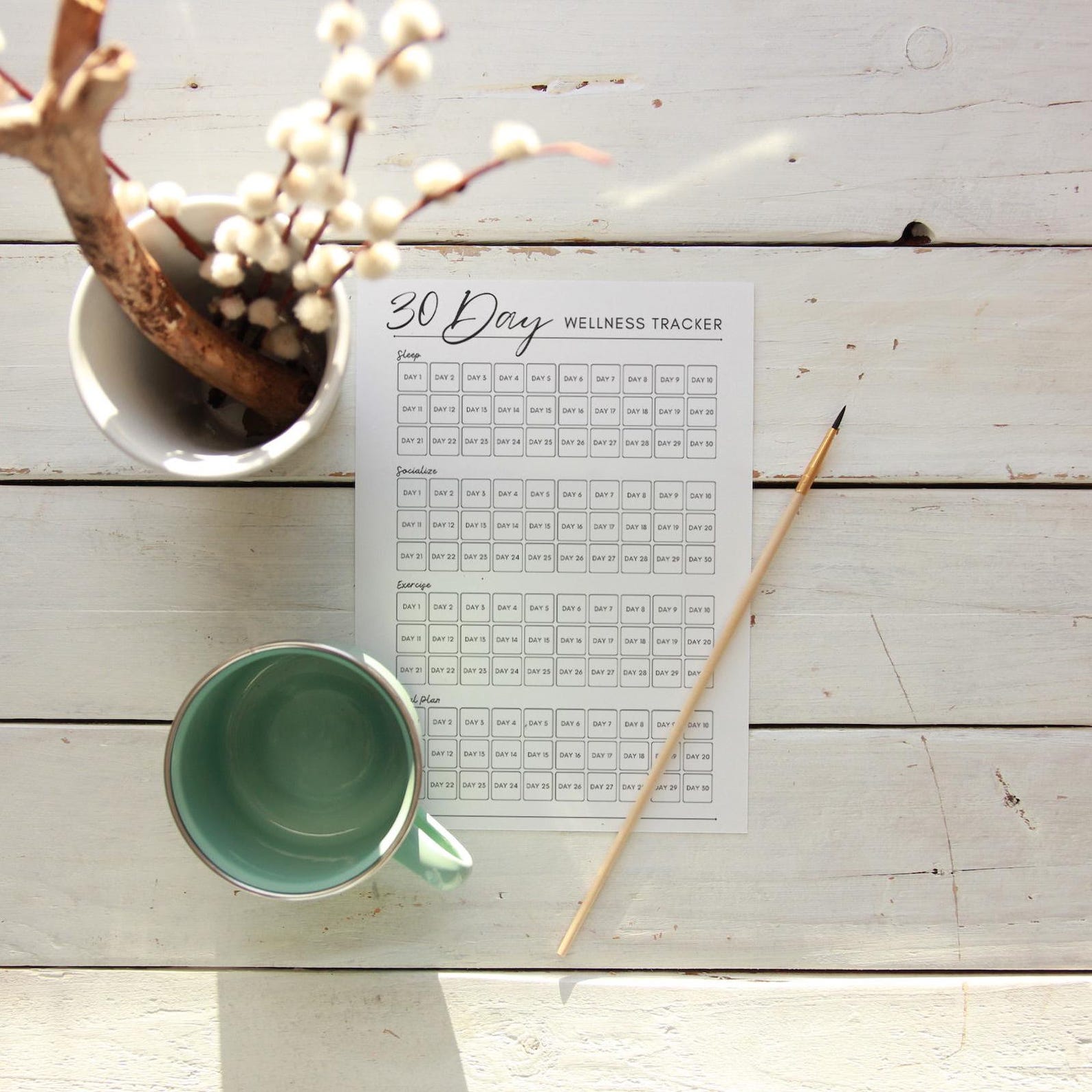 30 Day Wellness Tracker Printable, Health Journal, Daily Sleep ...