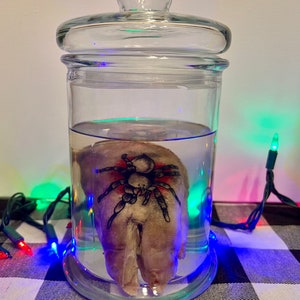 Home Alone Traditional Tarantula Tattooed Pigs Foot - Etsy