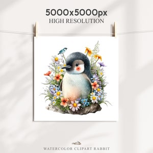 Baby Penguin Clipart Watercolor Ocean Animals PNG Cute Penguin PNG ...