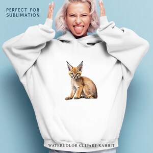 Baby Caracal PNG Clipart | African Safari Animals | Jungle Nursery Wall ...