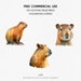 Cute Capybara PNG Clipart Safari Animals Jungle Nursery - Etsy