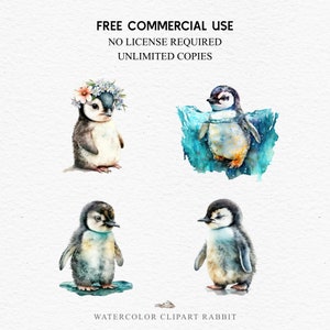 Baby Penguin Clipart Watercolor Ocean Animals PNG Cute Penguin PNG ...