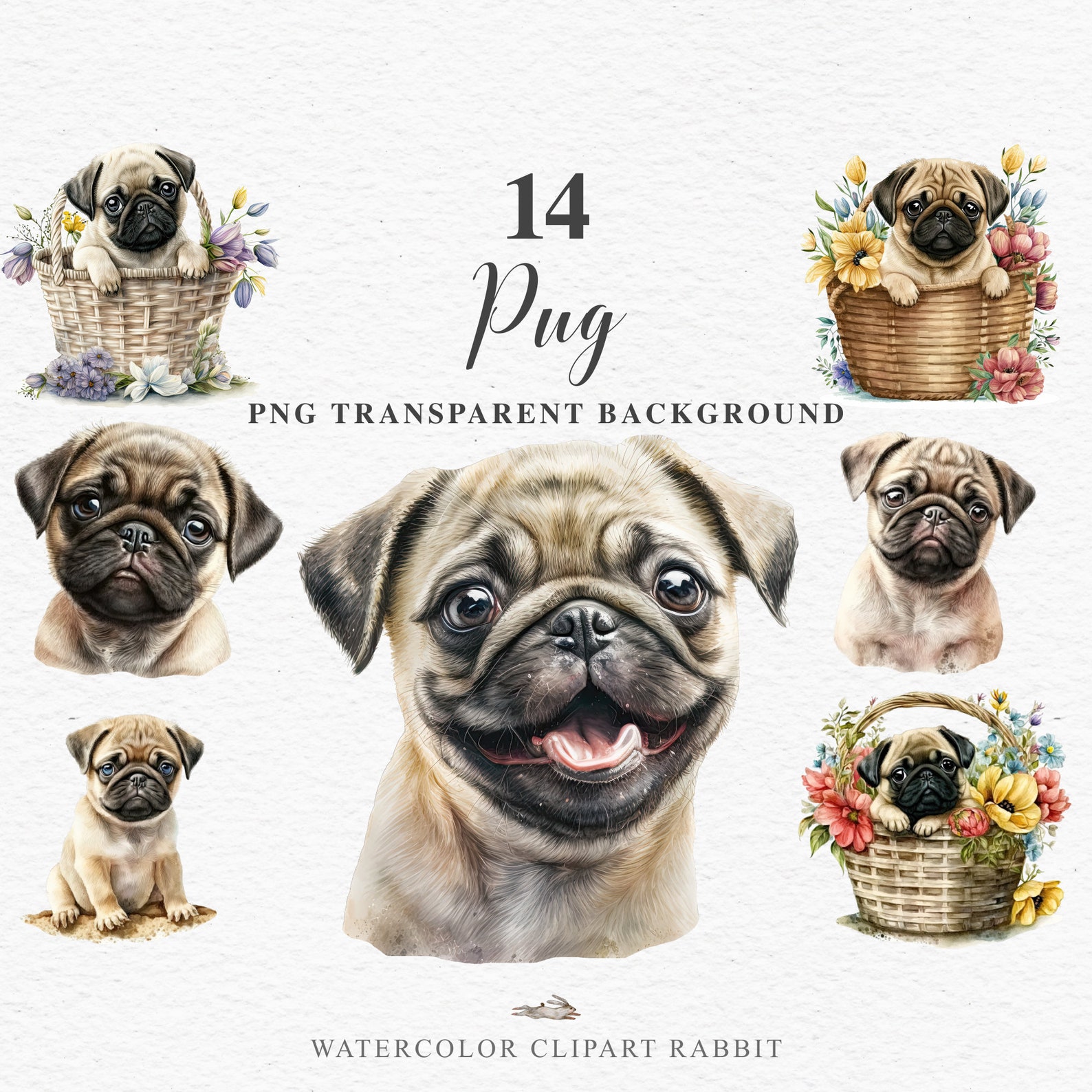 Pug Puppy Clipart Watercolor Pug PNG Puppies in Basket - Etsy