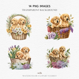 Golden Retriever Clipart | Jumping Dog PNG | Watercolor Puppies in ...