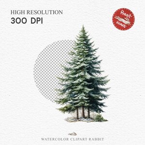 Christmas Winter Pine Tree PNG Pastel Xmas Decoration Clipart Bundles ...