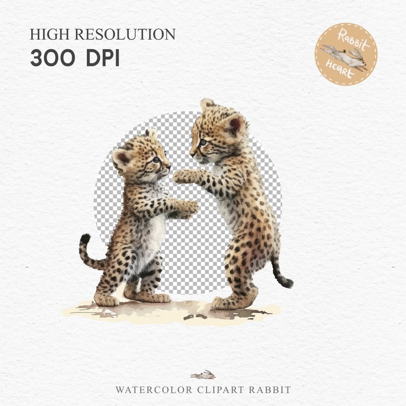 Baby Leopard PNG Clipart African Safari Animals Jungle - Etsy