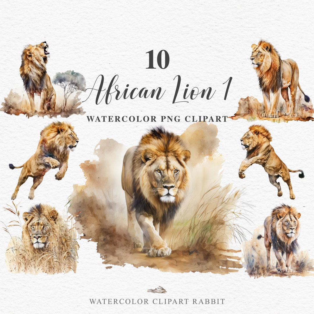 African Lion PNG Clipart Safari Animals Jungle Nursery Wall Art Cute ...