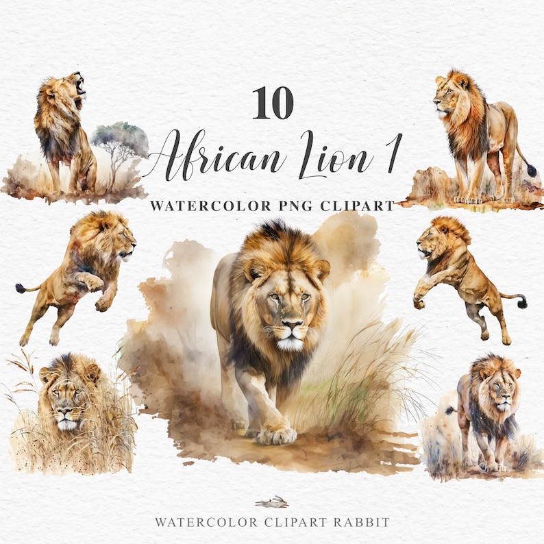 African Lion PNG Clipart Safari Animals Jungle Nursery - Etsy