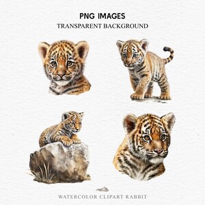 Baby Tiger Clipart | African Safari Animals | Jungle Nursery Wall Art ...