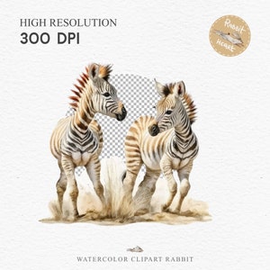 Safari Baby Animals PNG Clipart Savanna Jungle African Lion, Giraffe ...