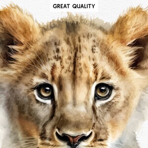 Baby Lion PNG Clipart | African Safari Animals | Jungle Nursery Wall ...