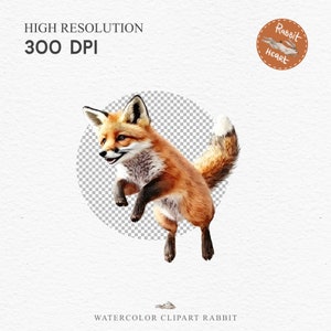 Baby Fox PNG Clipart | Cute Forest Animals | Floral Nursery Wall Art ...