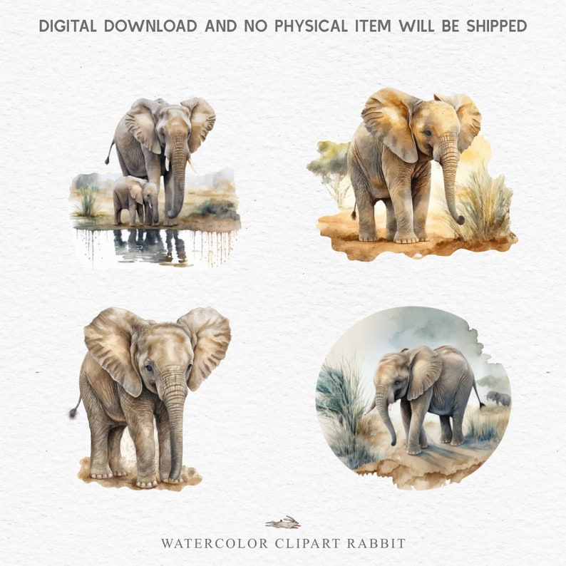 Cute African Baby Elephant PNG Clipart Safari Animals - Etsy