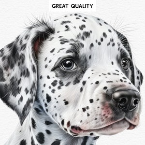 Dalmatian Clipart Jumping Dog PNG Watercolor Puppies in Basket Flowers ...
