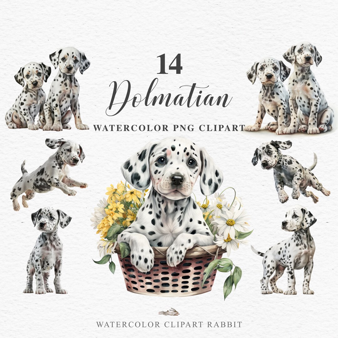 Dalmatian Clipart Jumping Dog PNG Watercolor Puppies in Basket Flowers ...