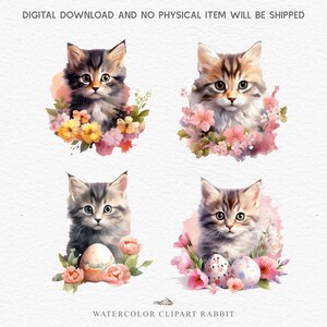Easter Kitty PNG Spring Holiday Eggs Flowers Baby Cat Animals Clipart ...