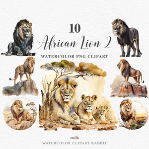 African Lion PNG Clipart | Safari Animals | Jungle Nursery Wall Art ...