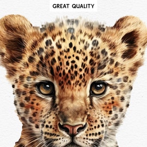 Baby Leopard PNG Clipart | African Safari Animals | Jungle Nursery Wall ...