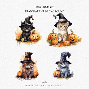 Witchy Kitten Cat PNG | Halloween Clipart Bundles | Spooky Decor | Junk ...