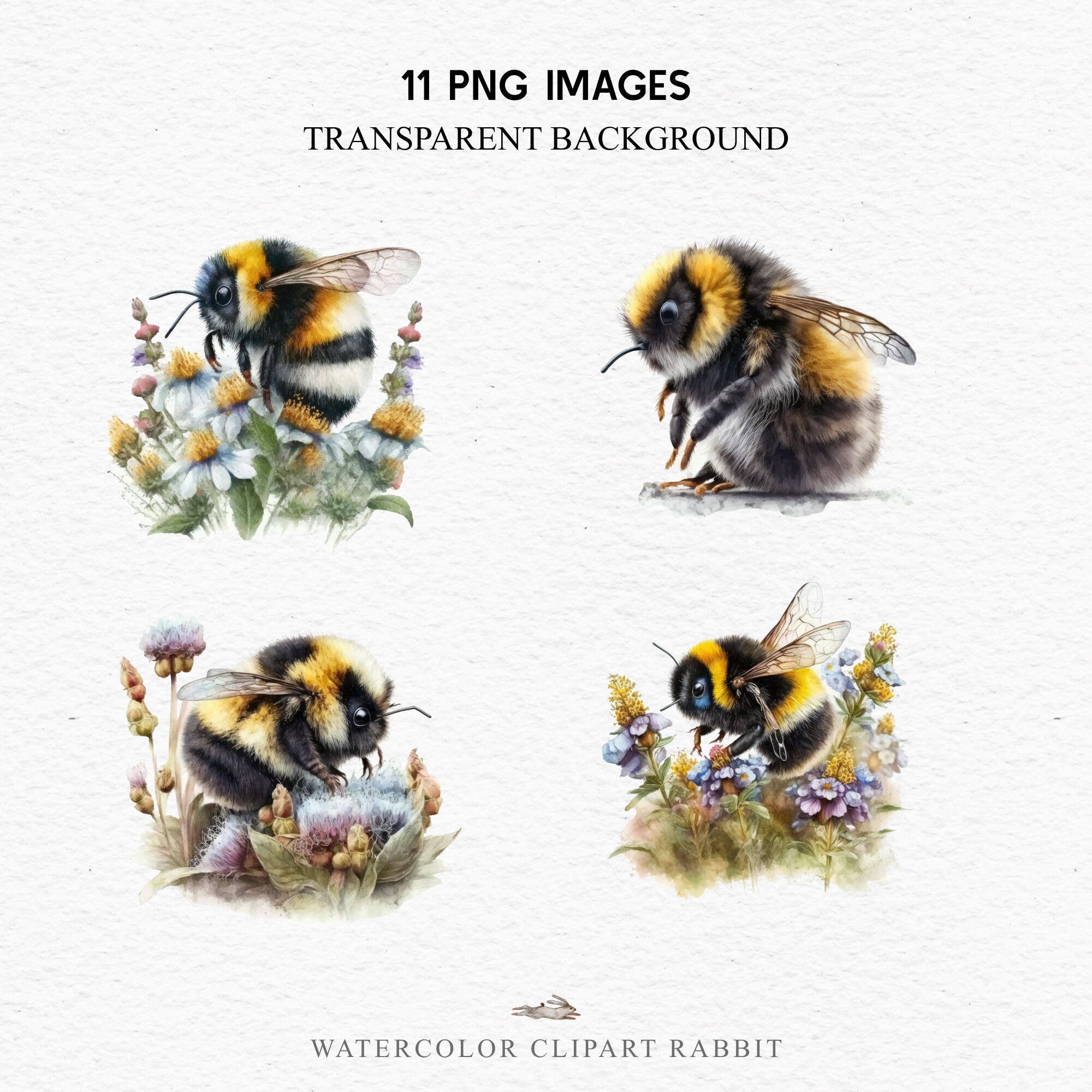 Watercolor Honey Bee Clipart Bumblebee PNG Summer Clipart - Etsy Australia