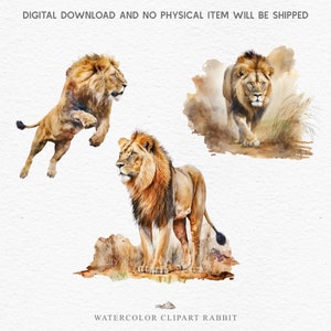 African Lion PNG Clipart Safari Animals Jungle Nursery Wall Art Cute ...