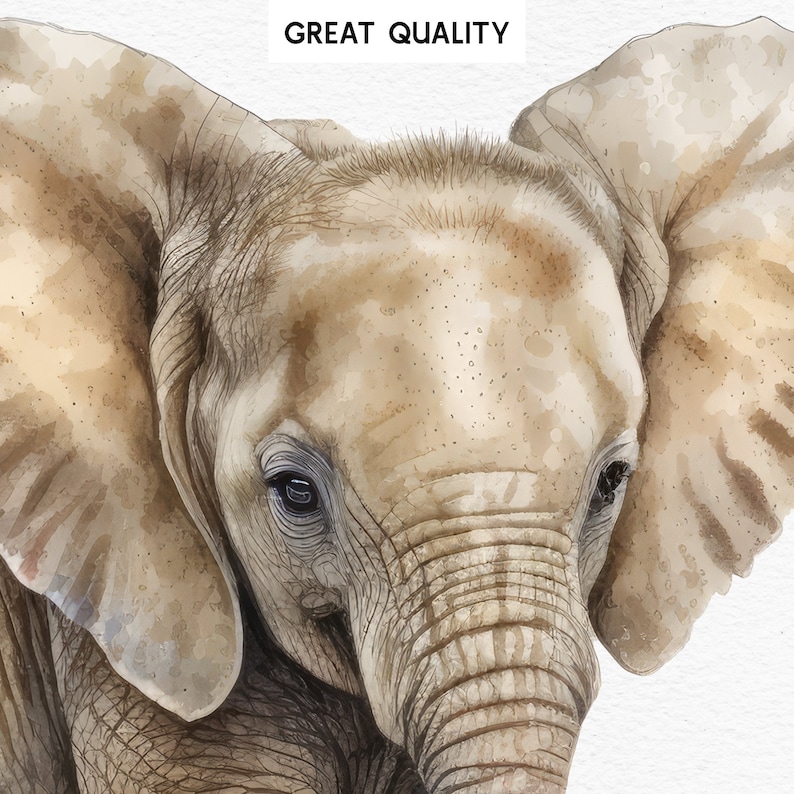 Cute African Baby Elephant PNG Clipart Safari Animals - Etsy