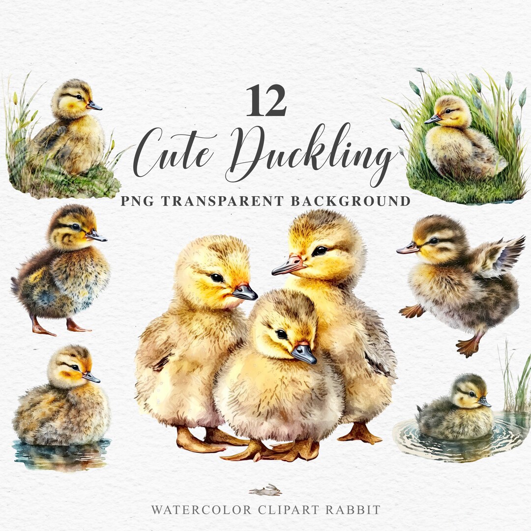 Watercolor Ducklings PNG | Cute Baby Duck Clipart | Farm Baby Animals ...