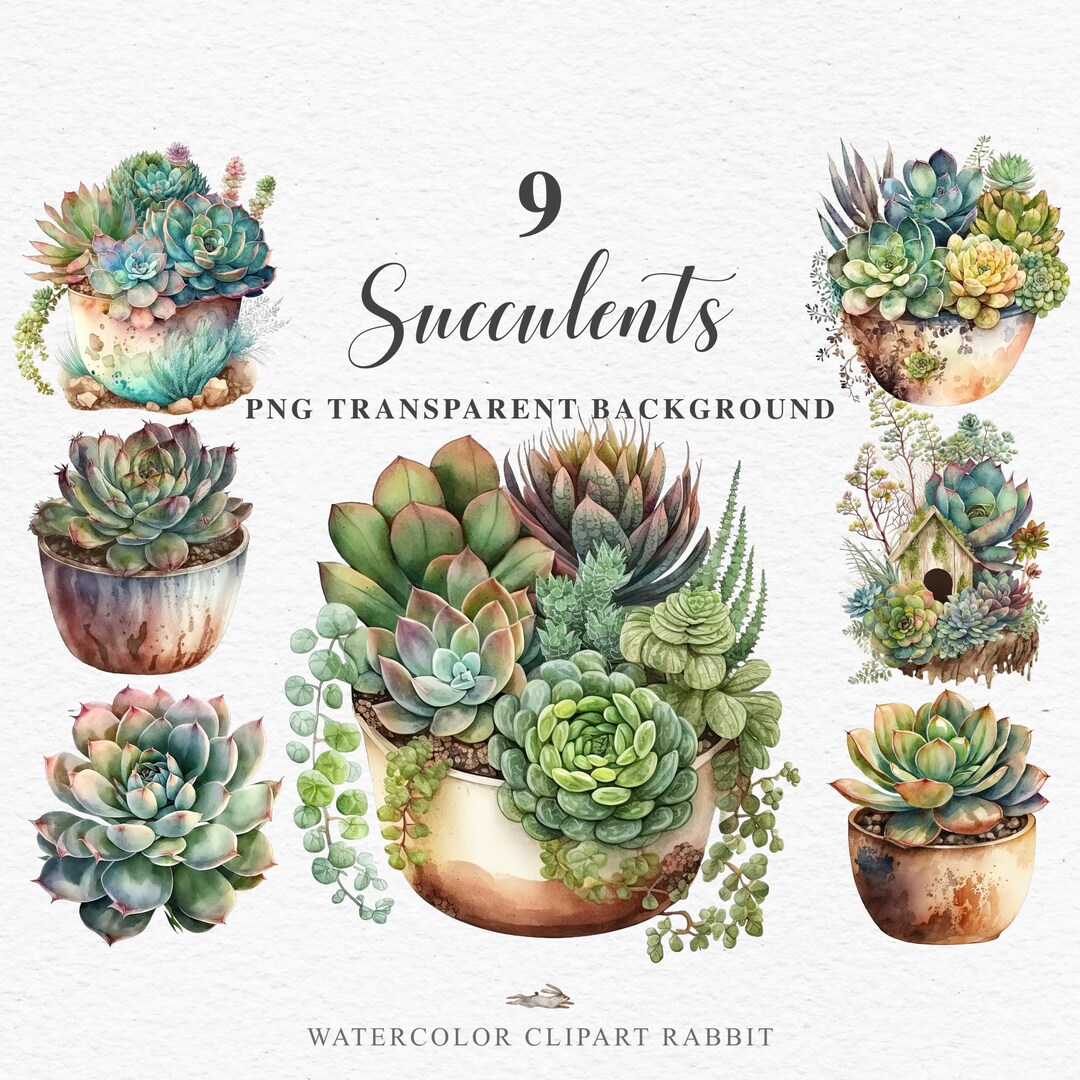 Watercolor Succulent Clipart | Plants Illustration | Botanical Clipart ...