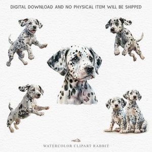 Dalmatian Clipart Jumping Dog PNG Watercolor Puppies in Basket Flowers ...