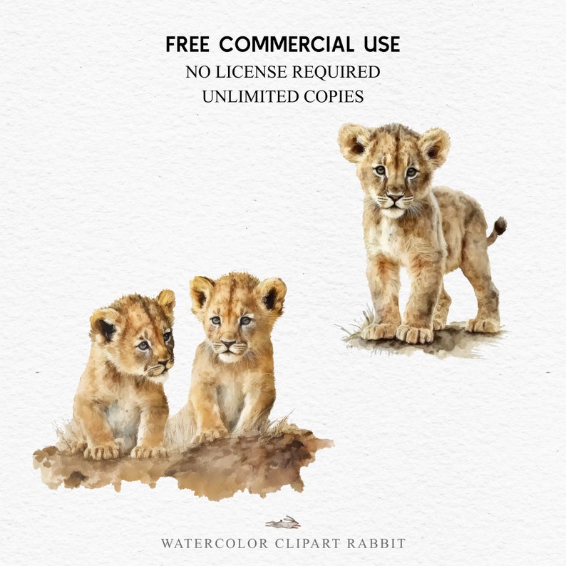 Baby Lion PNG Clipart African Safari Animals Jungle - Etsy