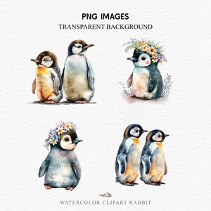 Baby Penguin Clipart | Watercolor Ocean Animals PNG | Cute Penguin PNG ...