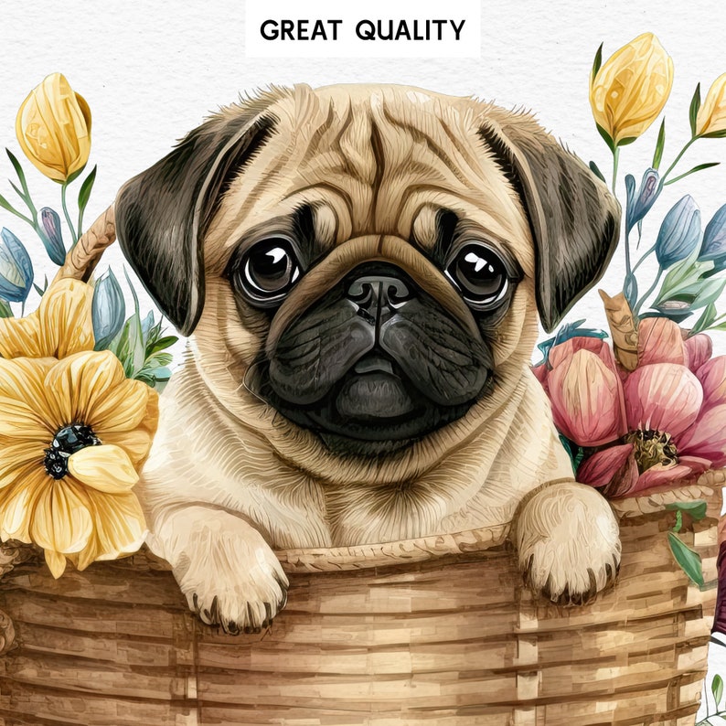 Pug Puppy Clipart Watercolor Pug PNG Puppies in Basket - Etsy
