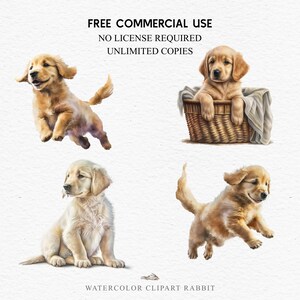 Golden Retriever Clipart | Jumping Dog PNG | Watercolor Puppies in ...