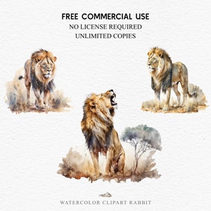 African Lion PNG Clipart Safari Animals Jungle Nursery Wall Art Cute ...