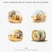 Watercolor Bale of Hay Clipart Wheat Field PNG Farm Life Animals ...