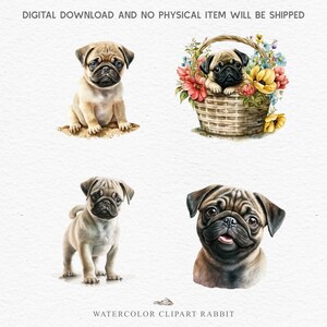Pug Puppy Clipart | Watercolor Pug PNG | Puppies in Basket Flowers Art ...