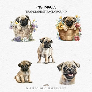 Pug Puppy Clipart | Watercolor Pug PNG | Puppies in Basket Flowers Art ...