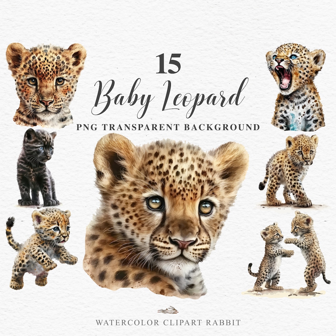 Baby Leopard PNG Clipart | African Safari Animals | Jungle Nursery Wall ...