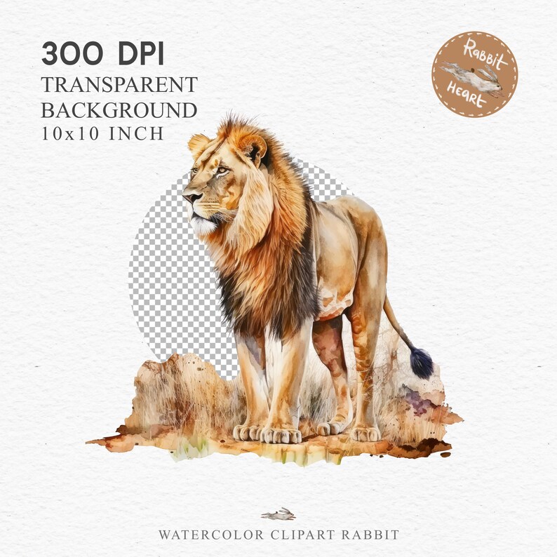 African Lion PNG Clipart Safari Animals Jungle Nursery - Etsy